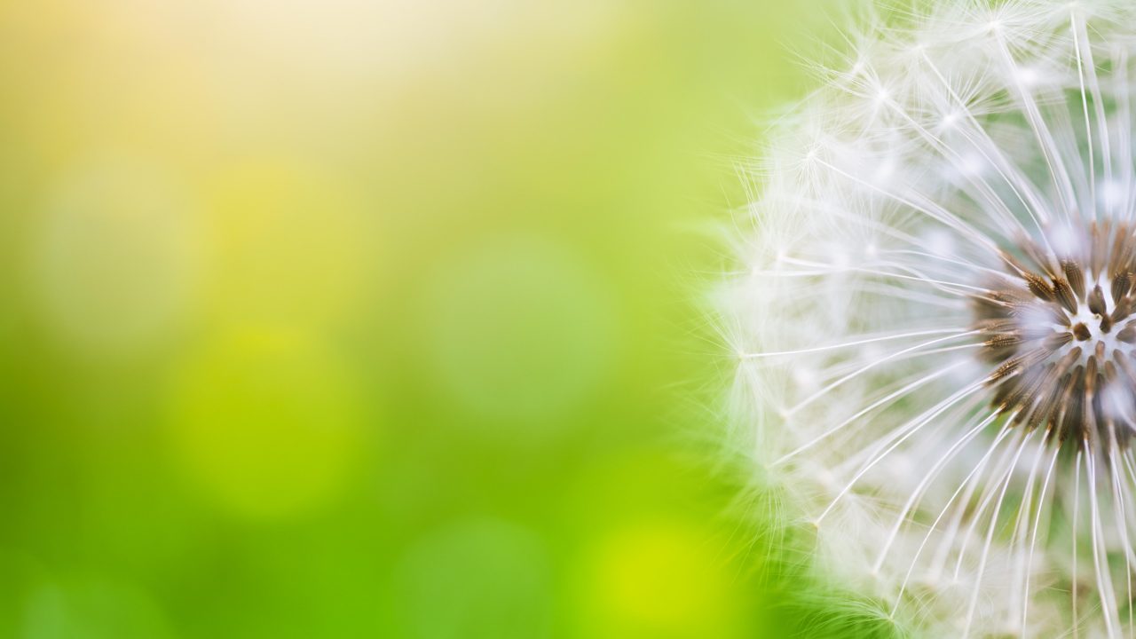 Clean, fresh, healthy, and pollen-free air with Daikin | Daikin